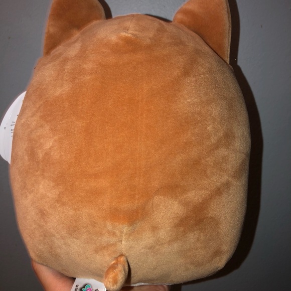 Squishmallows | Toys | Squishmallow Regina The Corgi Valentines Day ...